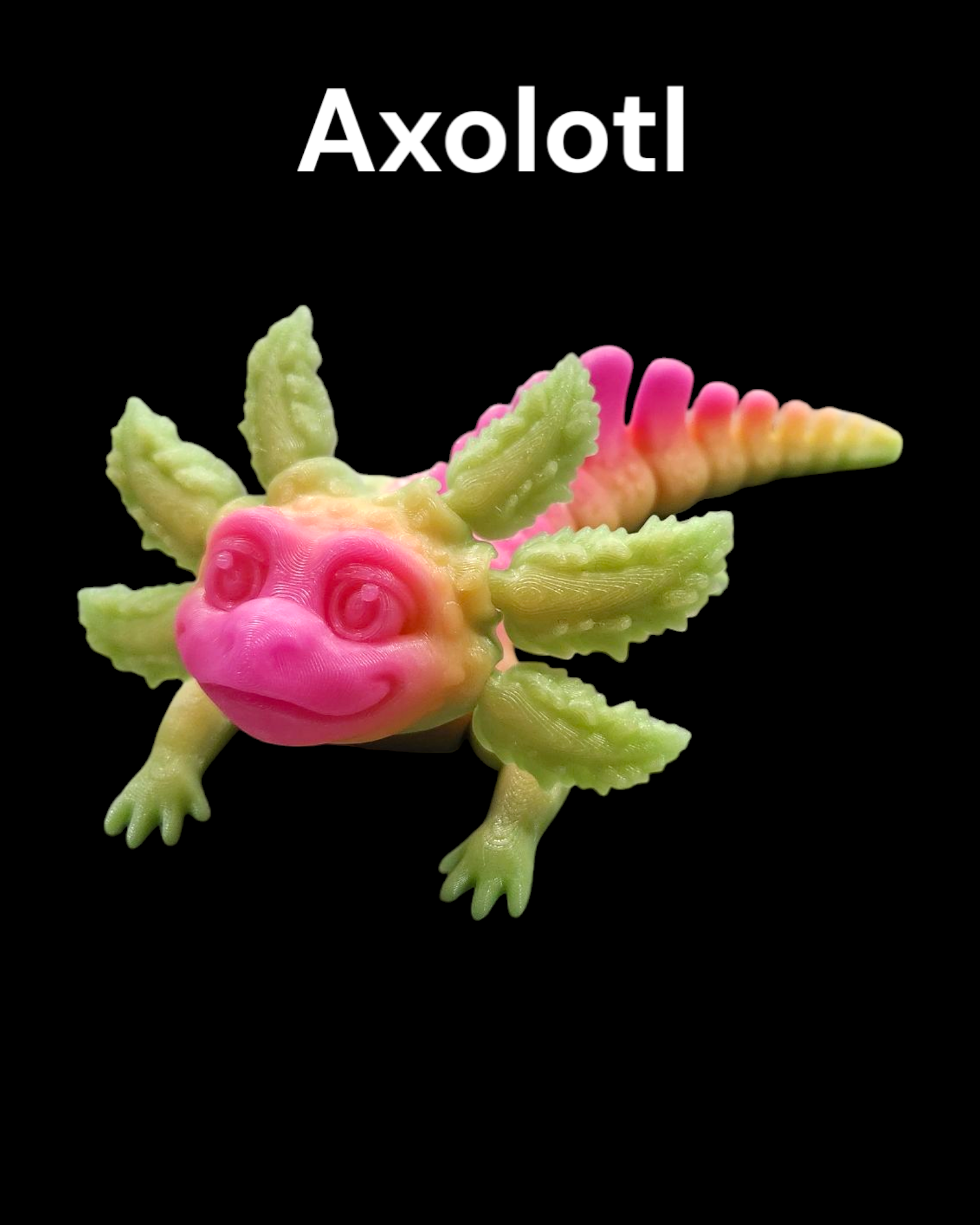 Axolotl – Prestige 3D Prints
